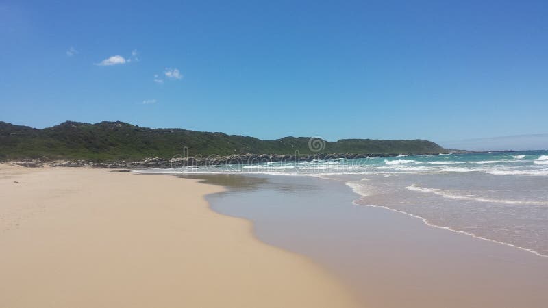 Sea life stock image. Image of vacation, port, coast - 80248285