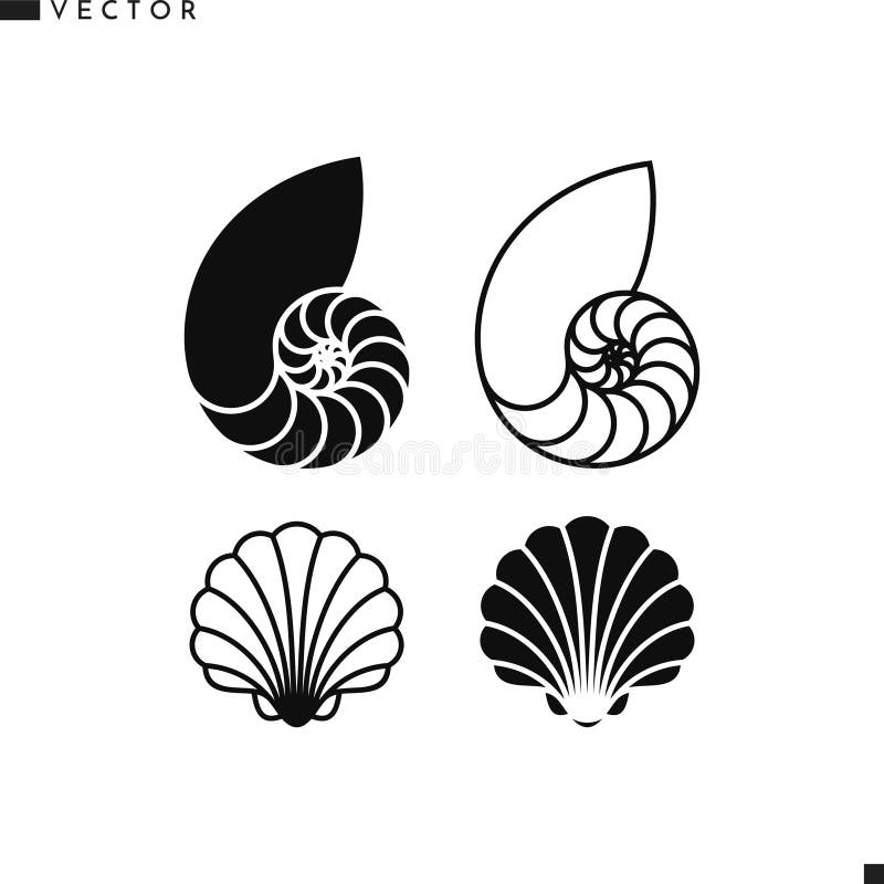 Sea Life Icon. Isolated Scallop Shell and Nautilus Shell Stock ...