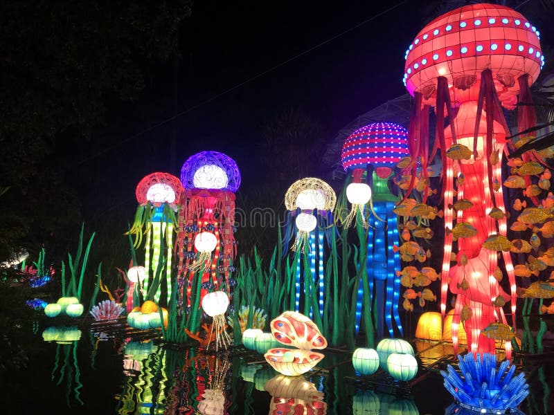 Sea Light Show stock photo. Image of landscape, light - 260278380