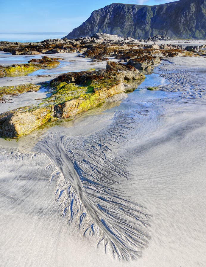 Sea Low Tide Coast Landscape Stock Photo - Image of morning, sand: 68473564