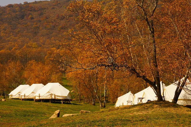 Sea lump autumn stock photo. Image of woods, valley - 128665660