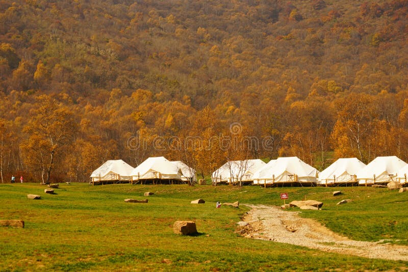 Sea lump autumn stock image. Image of ...