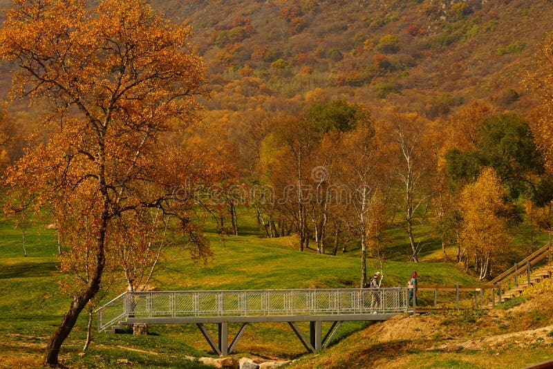 Sea lump autumn stock photo. Image of valleys, woods - 128675166