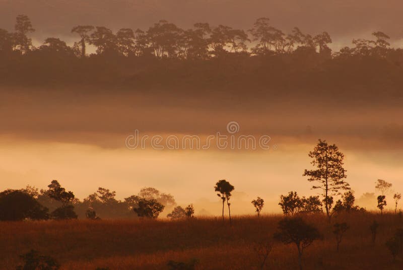 Sea mist stock image. Image of cloud, mountain, mist - 23275073