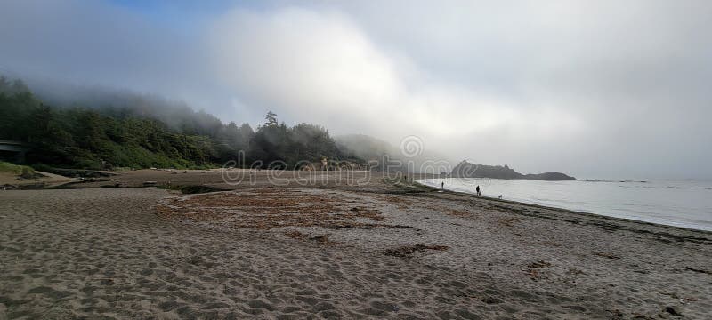 The Sea Mist is Rolling in on the Oregon Coast Stock Photo - Image of ...