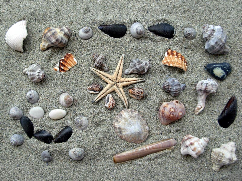 Sea mix decoration stock photo. Image of geological, marine - 58466946
