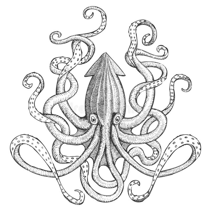 Sea Monster stock vector. Illustration of squid, monster - 45622756