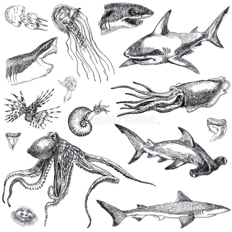 Deep Sea Monsters Stock Illustrations – 234 Deep Sea Monsters Stock ...