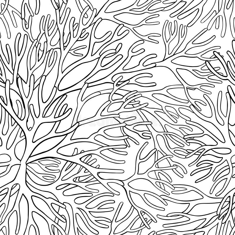 Sea Moss Stock Illustrations – 509 Sea Moss Stock Illustrations ...