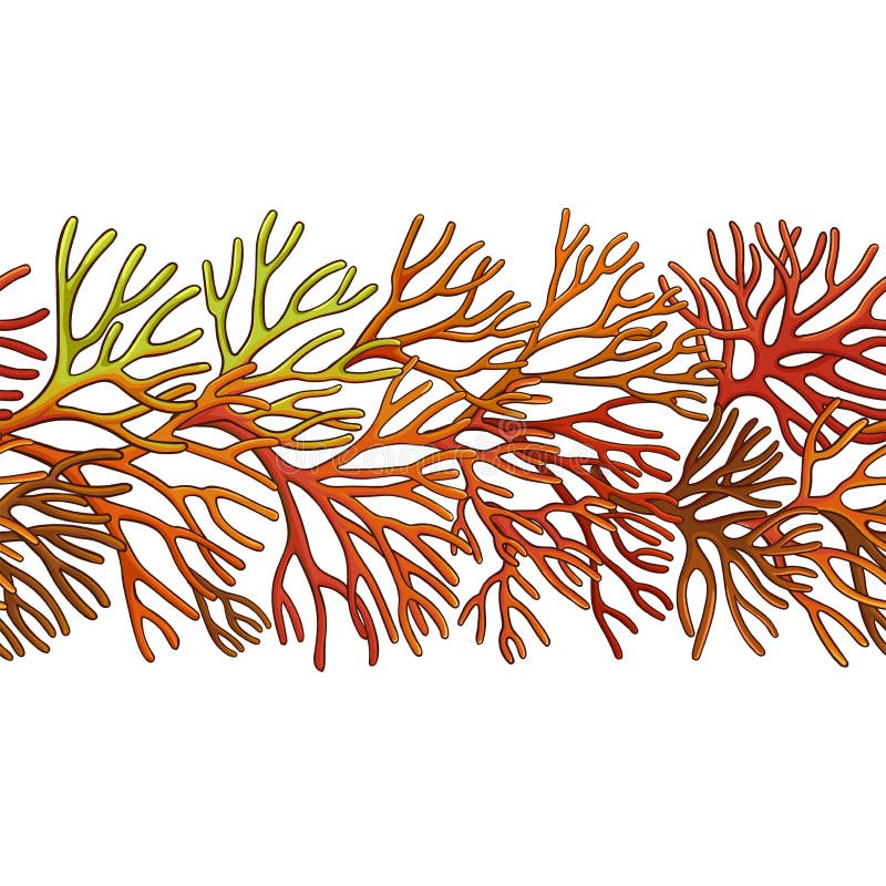 Sea Moss Stock Illustrations – 1,353 Sea Moss Stock Illustrations ...