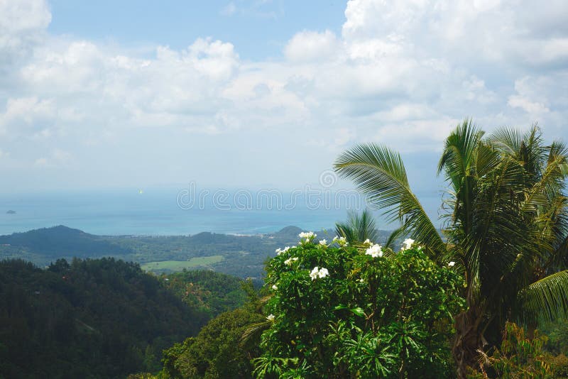 Sea and Mountain Views among Tropical Greenery Stock Image - Image of ...