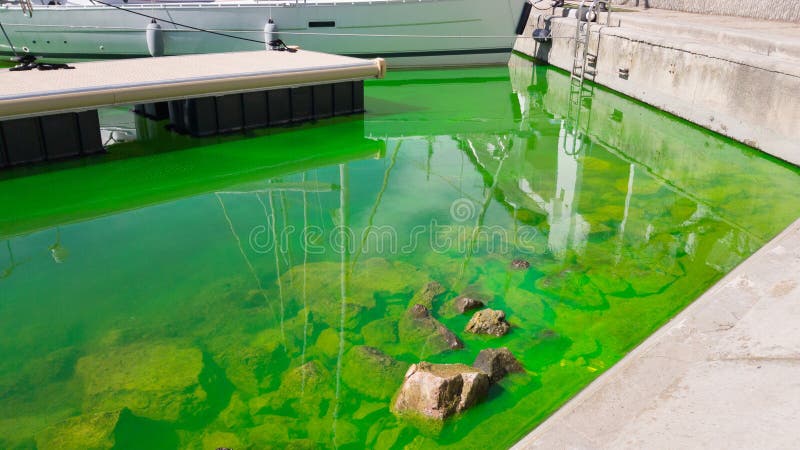 Dye Polluted Water Stock Photos - Free & Royalty-Free Stock Photos from ...