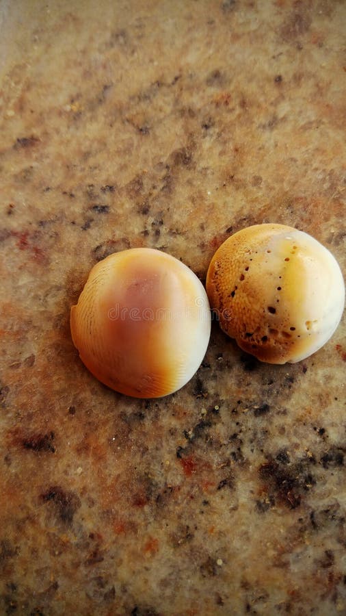 Sea Objects stock image. Image of stone, objects, granite - 134527169