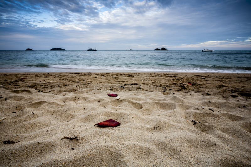 Sea - Ocean Beach with Sand on Foreground Stock Image - Image of cover ...