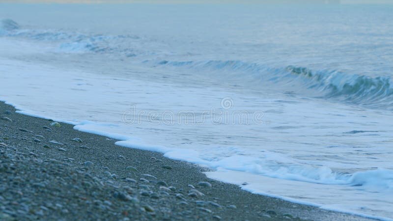 Sea, Ocean Under the Influence of Wind. Sea Beach Landscape. Real Time ...