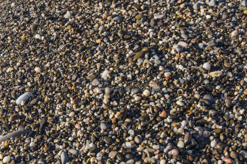 Sea pebble on beach stock photo. Image of rough, hard - 130520524