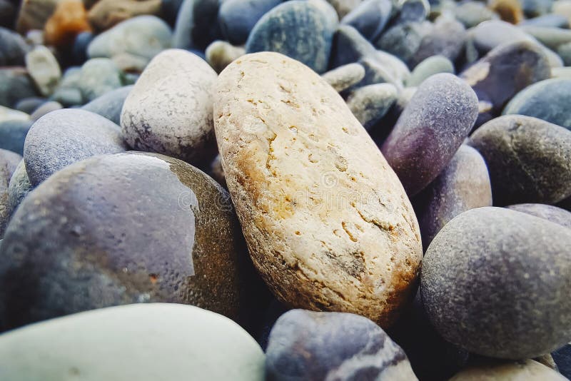 Sea Pebble, Sea Stones Background, Beach Rocks. Background from Sea ...