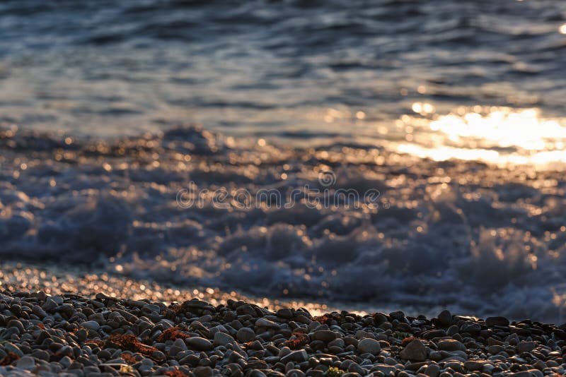 Sea Pebbles on the Seashore in the Dawn Rays Stock Image - Image of ...