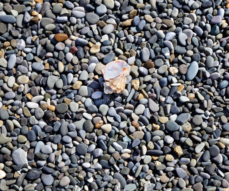 Sea pebbles on shore stock photo. Image of crag, nature - 27712622