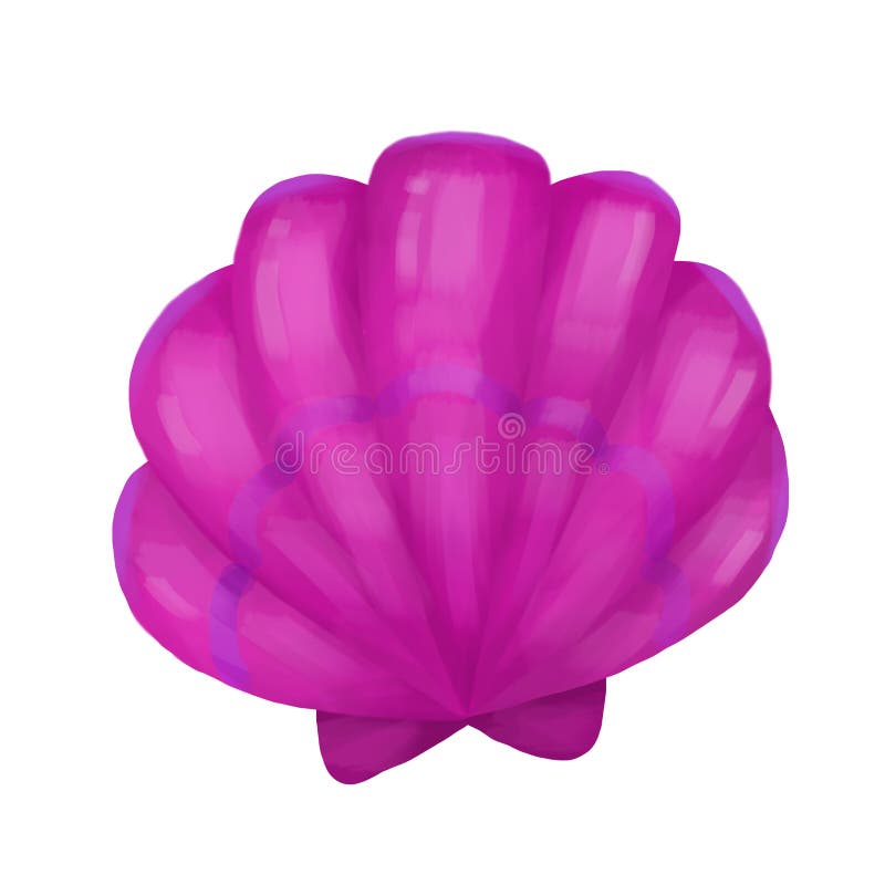 Sea pink shell stock photo. Image of shell, deep, wallpaper - 180885278