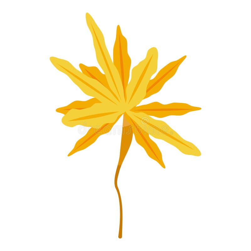 Sea Plant Leaf Icon Isometric Vector. Marine Algae Stock Vector ...