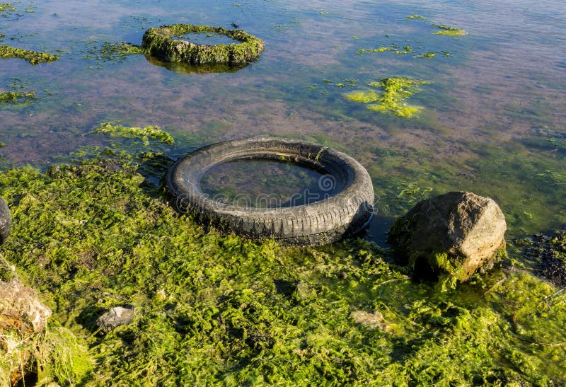 Sea polution stock image. Image of horizontal, natural - 176033069