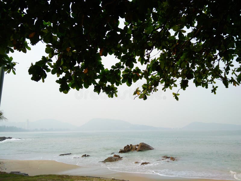 Sea puket patong viwe tree stock photo. Image of tree - 71746436