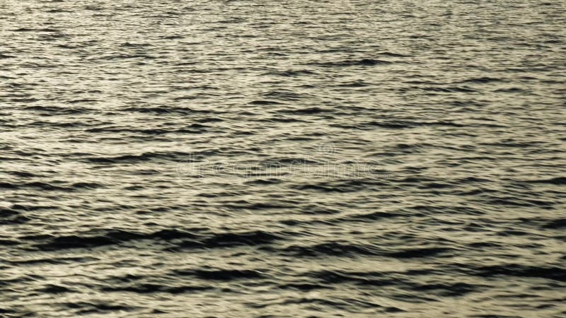 Sea Ripples on the Water before Dawn Stock Video - Video of environment ...
