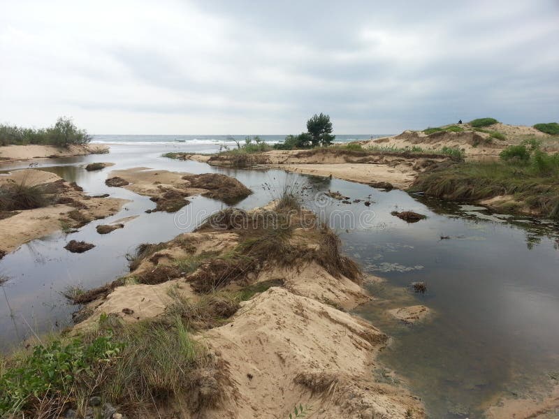Sea and river stock image. Image of landscapes, plants - 44349303