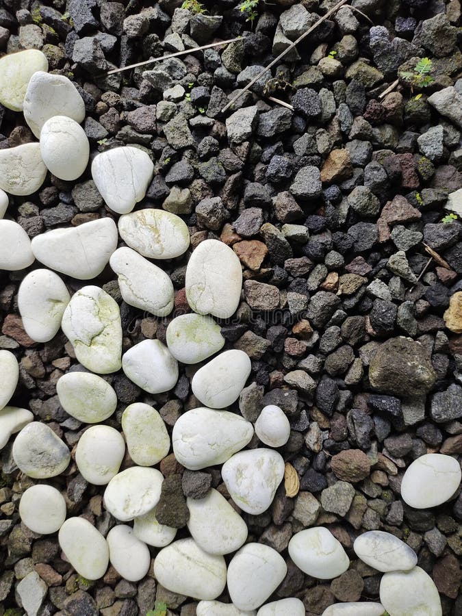 Sea ??rock and Road Rock Meeting Stock Image - Image of wildlife ...