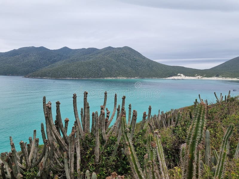 Sea rocks anda sea stock image. Image of nature, rocks - 357557111
