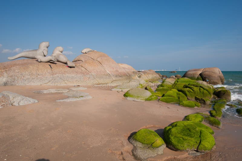 Sea Rocks Covered in Green Moss on the Coast Stock Photo - Image of ...