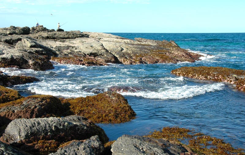 Sea fishing stock image. Image of beach, activity, fishing - 885477