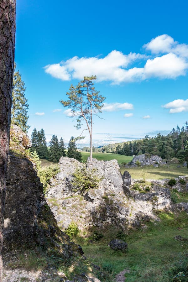 Sea of Rocks with Huge Rocks and High Trees Stock Image - Image of ...