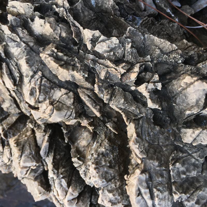 Sea rocks stock image. Image of adriatic, pebble, beach - 95295715