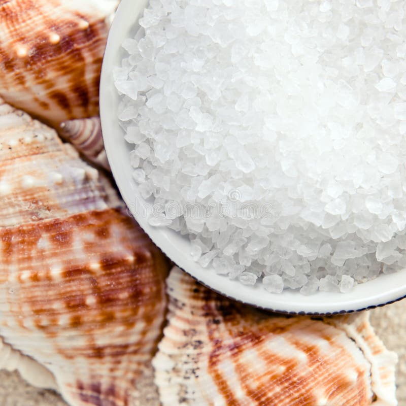 Sea salt stock image. Image of mollusc, nature, colorful - 28741953
