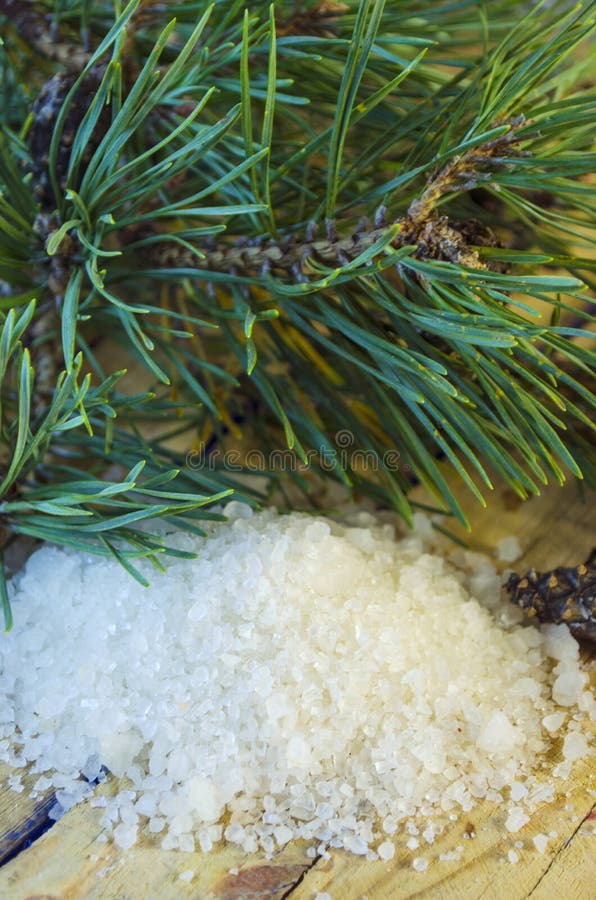 Sea Salt with an Extract of a Coniferous Tree Stock Photo - Image of ...