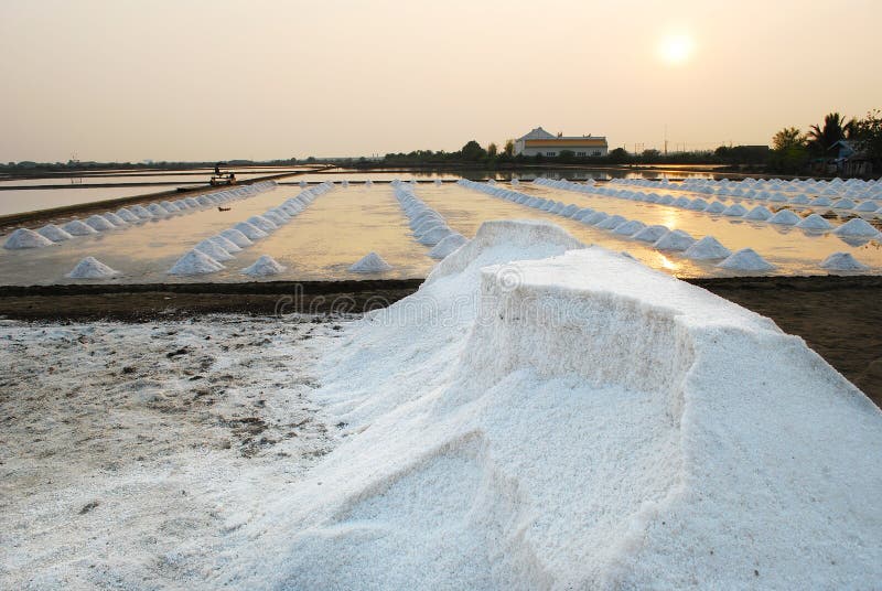 Sea salt field stock photo. Image of sunny, pool, salty - 90647272