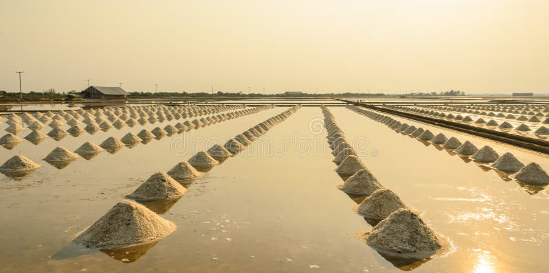 Sea salt field stock photo. Image of field, pond, heap - 45938294