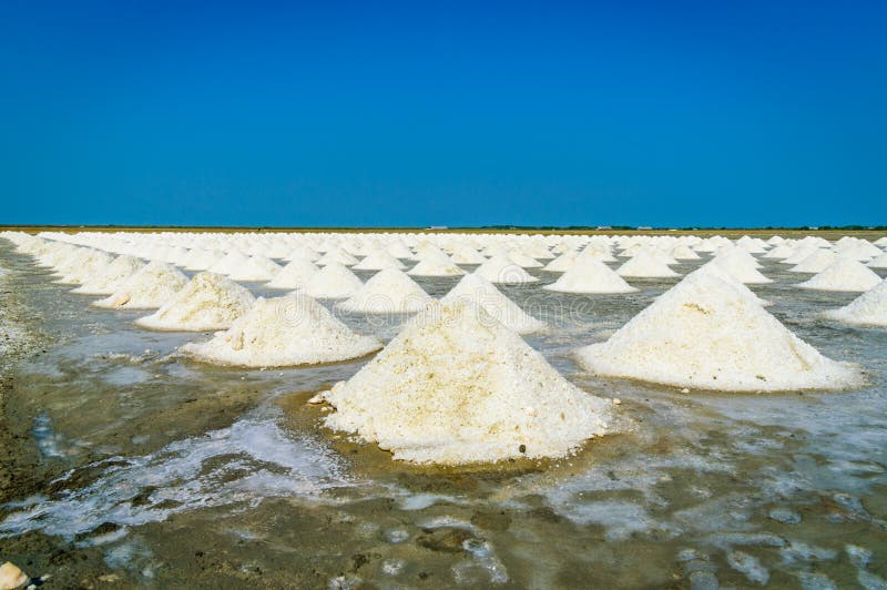 Sea Salt Fields with Piled Salt Stock Image - Image of piled, nature ...