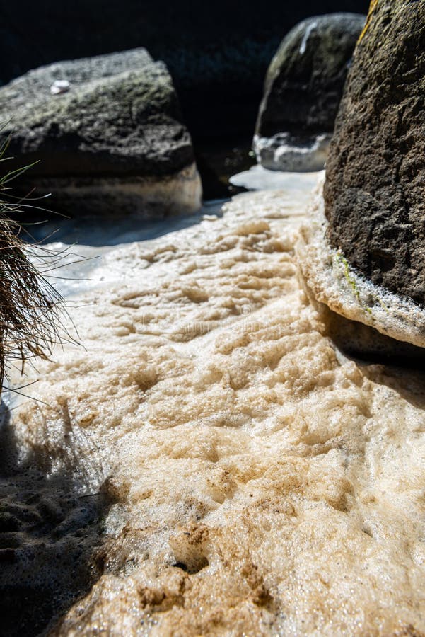 Sea Salt Foam by Rocks and Cliffs by the Sea.. Stock Image - Image of ...