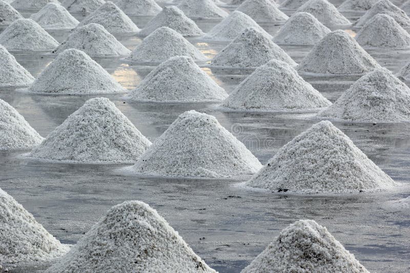 Sea salt stock photo. Image of salted, ingredient, tropical - 41429492