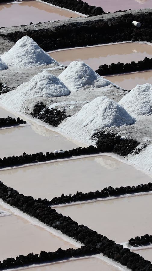 Sea Salt Plantation Field on a Sunny Day Stock Photo - Image of ...