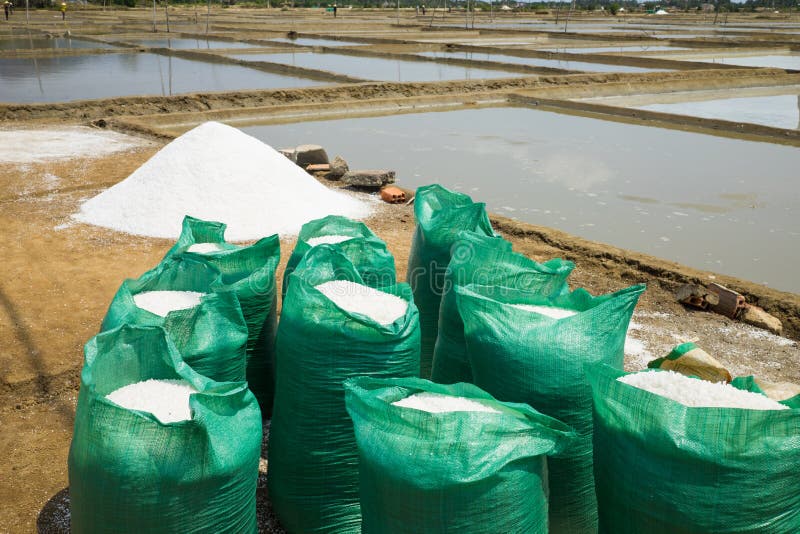 Sea Salt Produced on Farm in Asia Stock Photo - Image of land, pond ...
