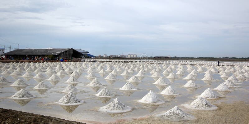 Salt farm editorial photo. Image of agriculture, ingredient - 55464416