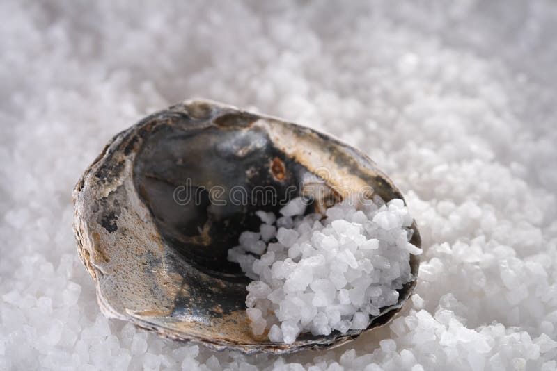 Sea Salt in Sea Shell on Salts Background Stock Image - Image of shell ...