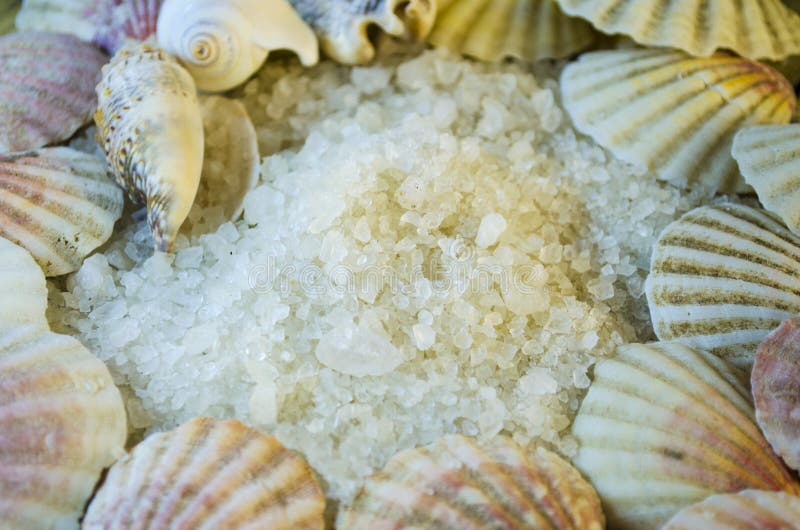 Sea salt and seashells stock image. Image of selective - 79885037