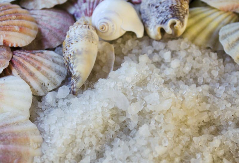 Sea salt and seashells stock image. Image of pure, pile - 79885609