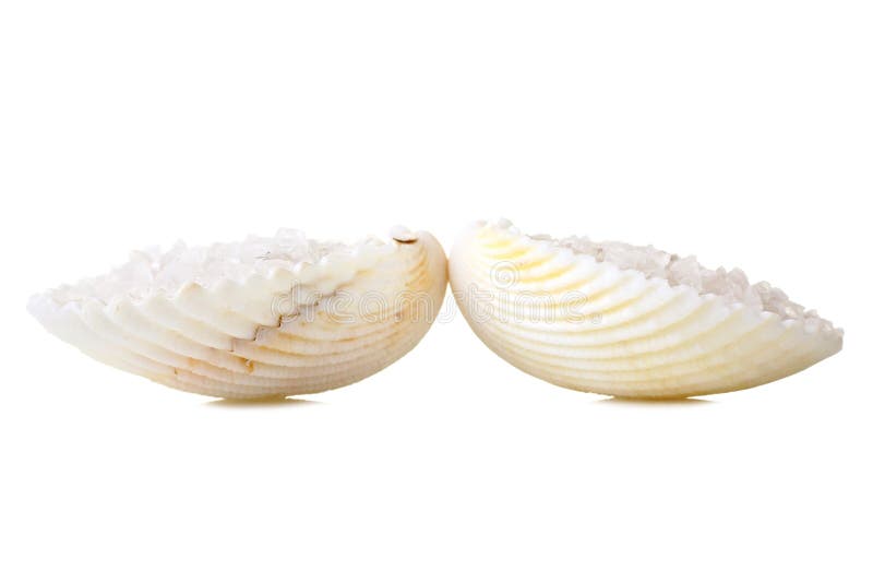 Sea salt in a shell stock image. Image of nutrition, natural - 60373645