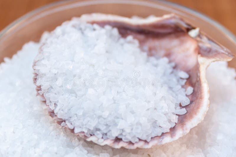 Sea salt in shell stock photo. Image of spice, mineral - 49170446